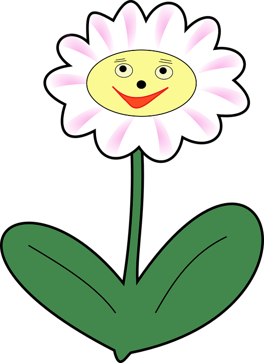 Daisy Flower Plant Face Happy Spring - Clipart Flower With Face - Png ...
