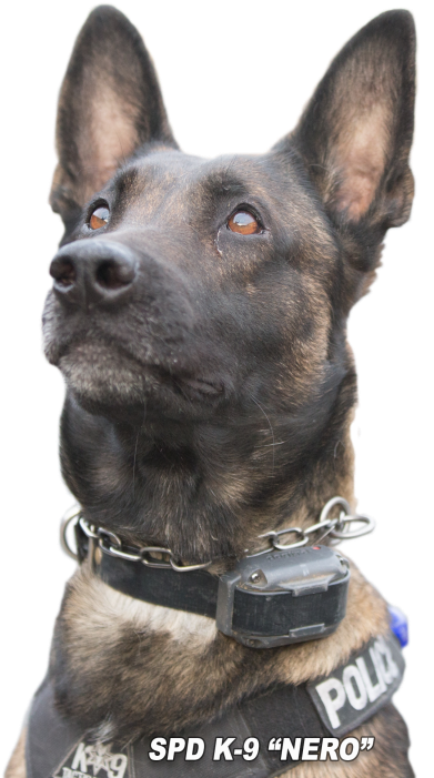 Police K9 Copy - Dog Catches Something Clipart - Large Size Png Image ...
