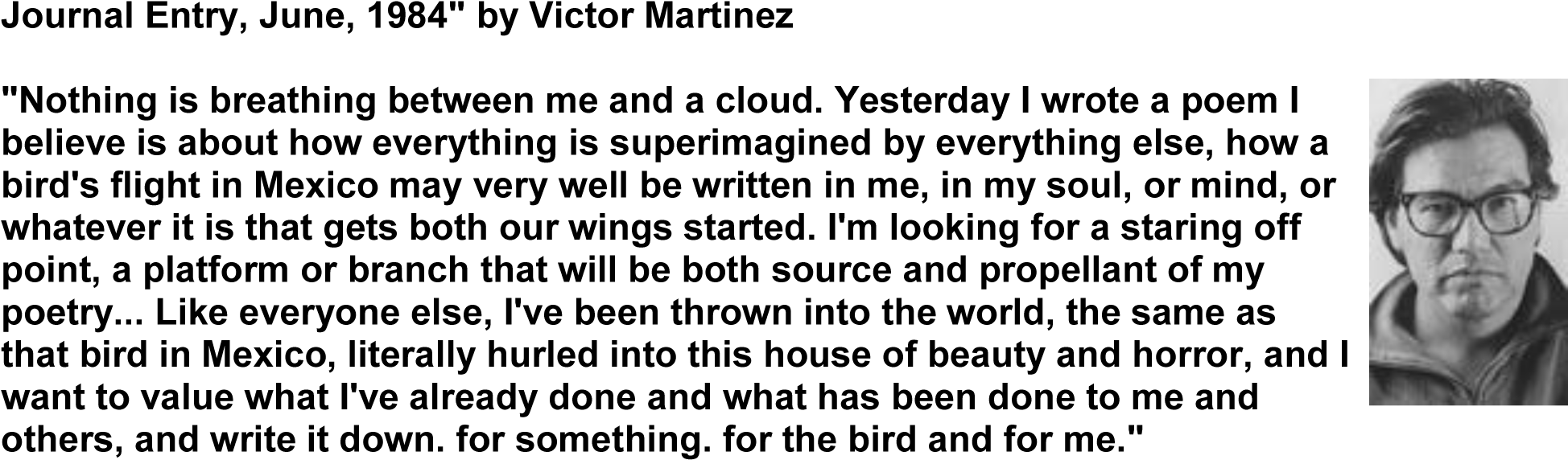 Journal-entry - Martinez Parrot In The Oven Clipart - Large Size Png ...