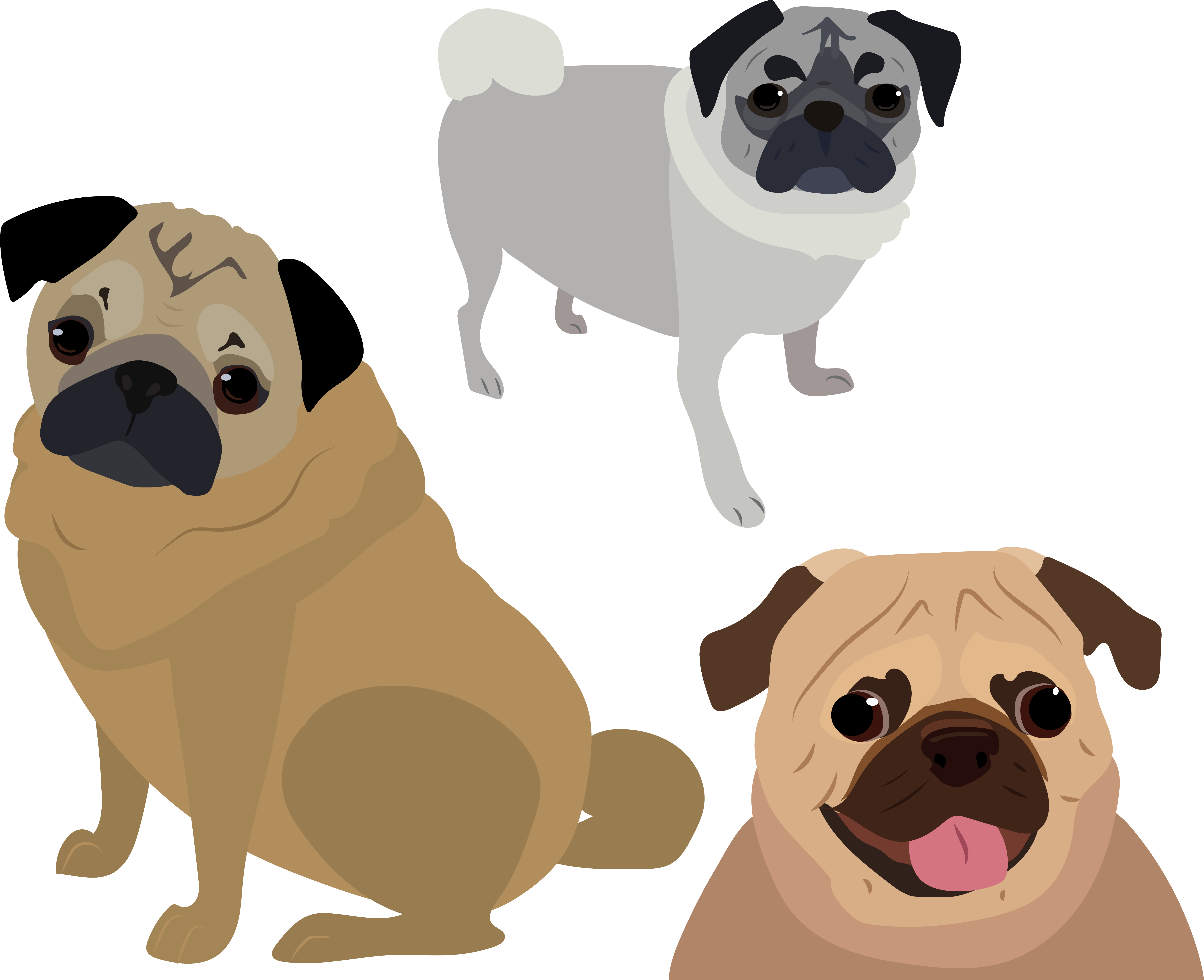 Pug Vector - Pug Clipart - Large Size Png Image - PikPng