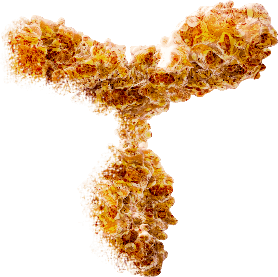 Angiotensin Receptor Antibody - Crystal Clipart - Large Size Png Image ...