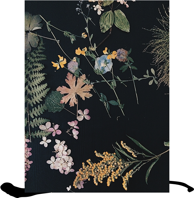 Home Decor - “ - Motif Clipart - Large Size Png Image - PikPng