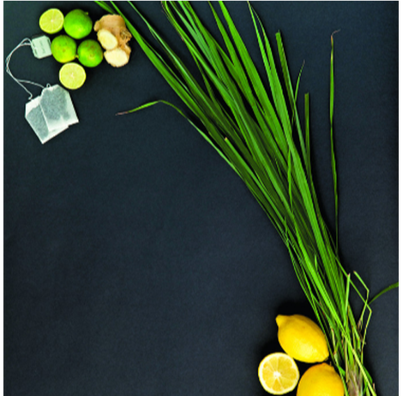 Welsh Onion Clipart - Large Size Png Image - PikPng