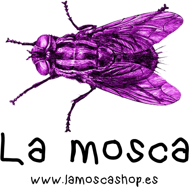 Download La Mosca Se Une A La Experiencia - Dung Beetle Clipart Png ...