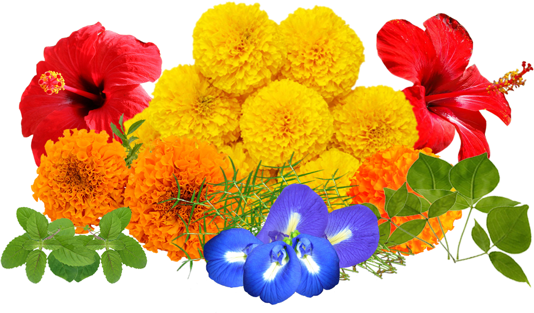 Download Flowers For Puja Png Clipart Png Download - PikPng