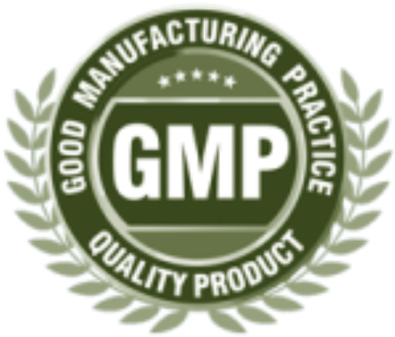 Free Download Good Manufacturing Practice Quality Certification ...