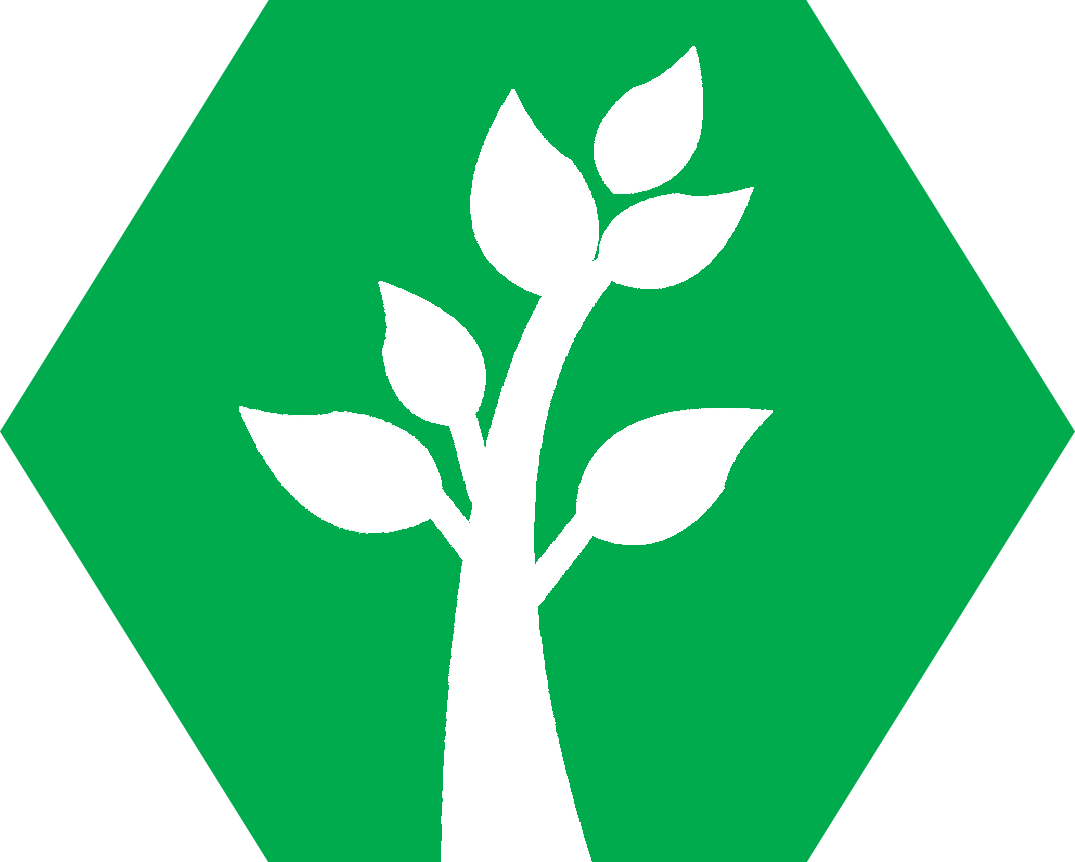 Benefits Icon Green - Benefits Icon Clipart - Large Size Png Image - PikPng