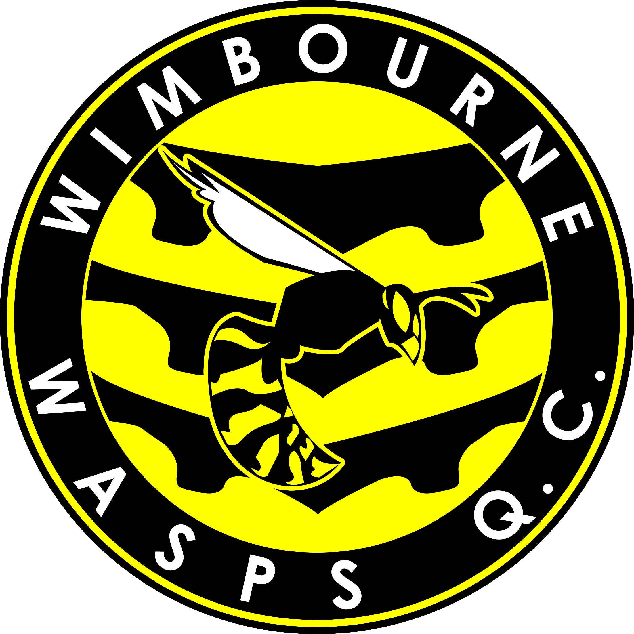 Wimbourne Wasps Logo - Wimbourne Wasps Harry Potter Clipart - Large ...