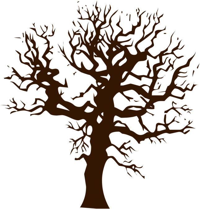 Download Vector Tree Png Image Transparent Background High Quality ...