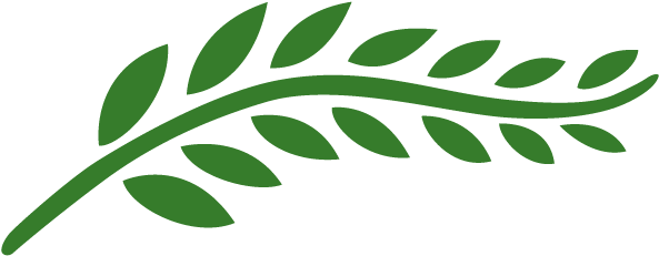 Green Branch Icon Clipart - Large Size Png Image - PikPng