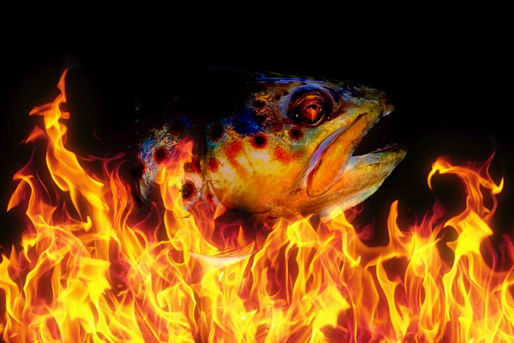 Fire Generic Clipart - Large Size Png Image - PikPng