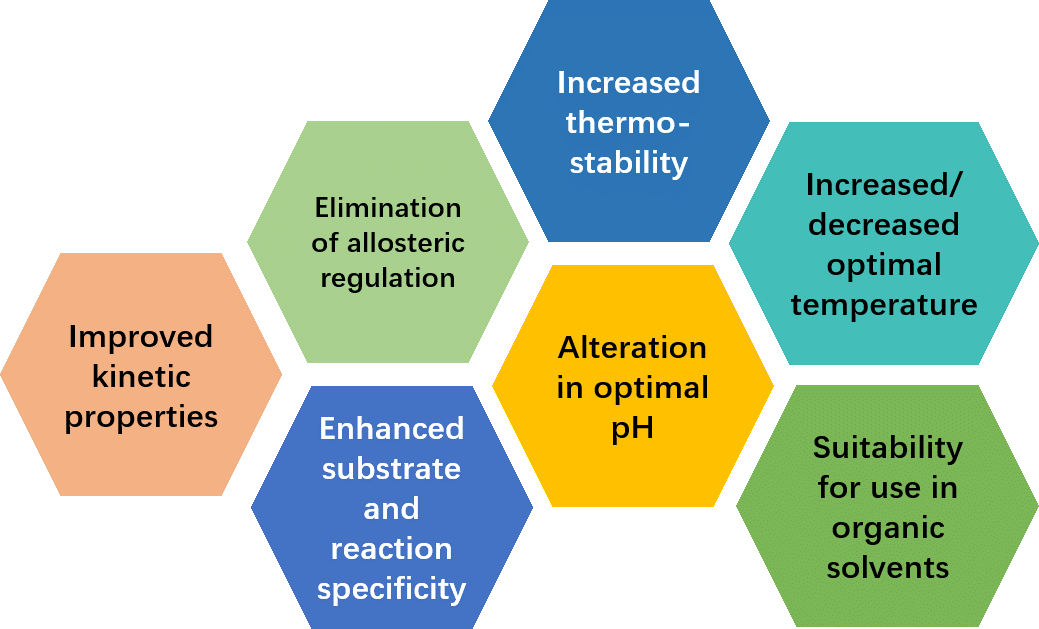 Creative Enzymes - Enzymes Engineering Rational Design Clipart - Large ...