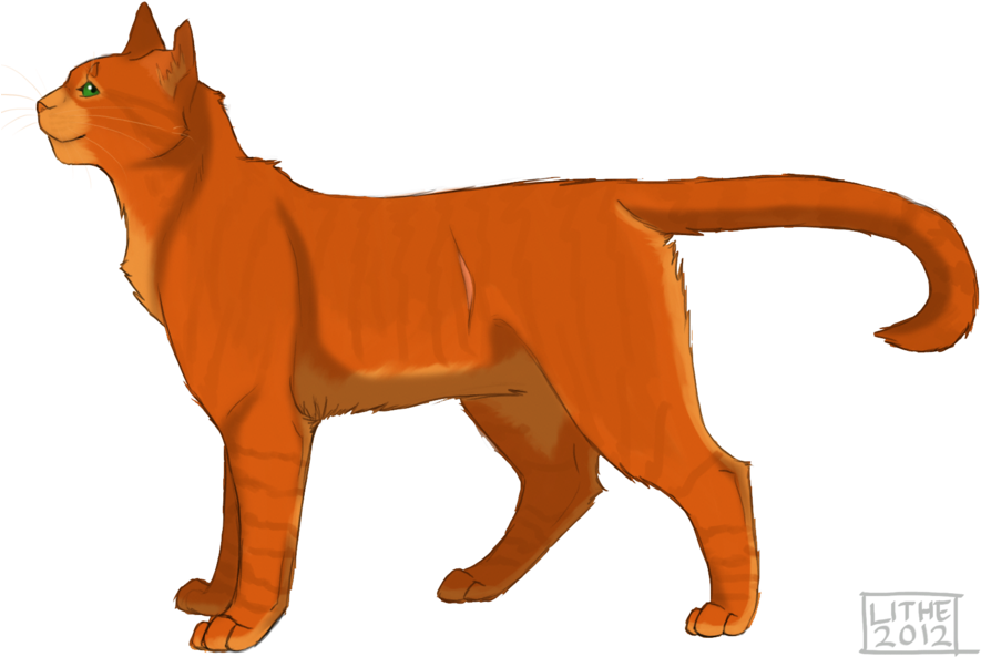 Warrior Cat Drawings Firestar - Warrior Cats Lithestep Firestar Clipart ...