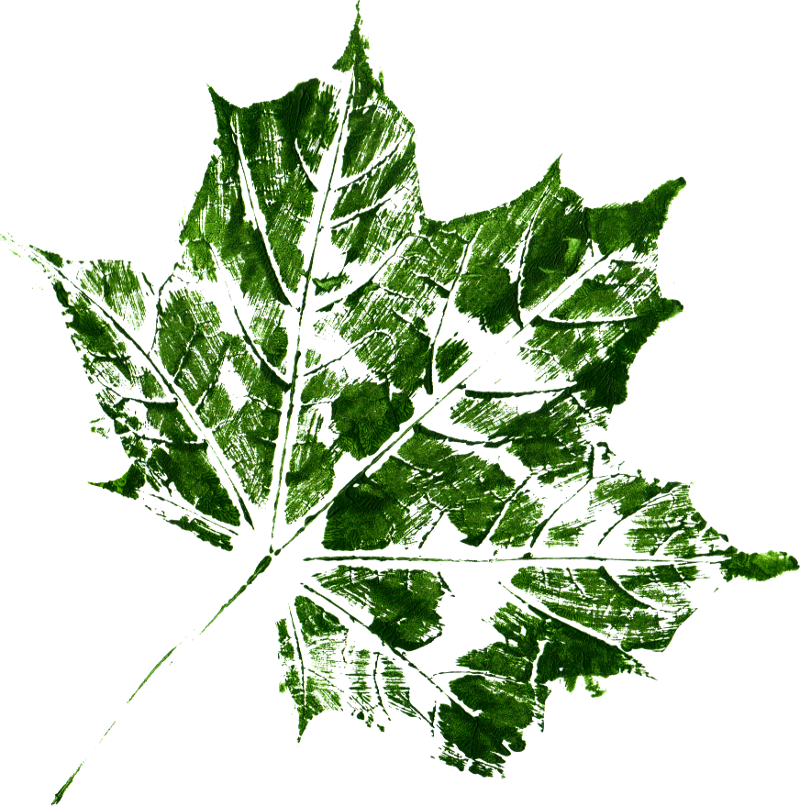 Free Download - Textures Leaves Transparent Clipart - Large Size Png ...