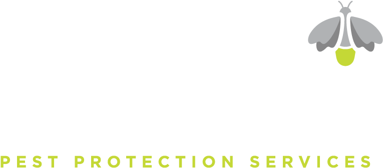 Firefly Pest Control - Short-tailed Blue Clipart - Large Size Png Image ...