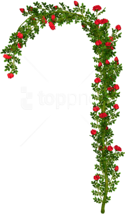 Free Png Rosebush Arch Elementpicture Png Images Transparent - Grapes ...