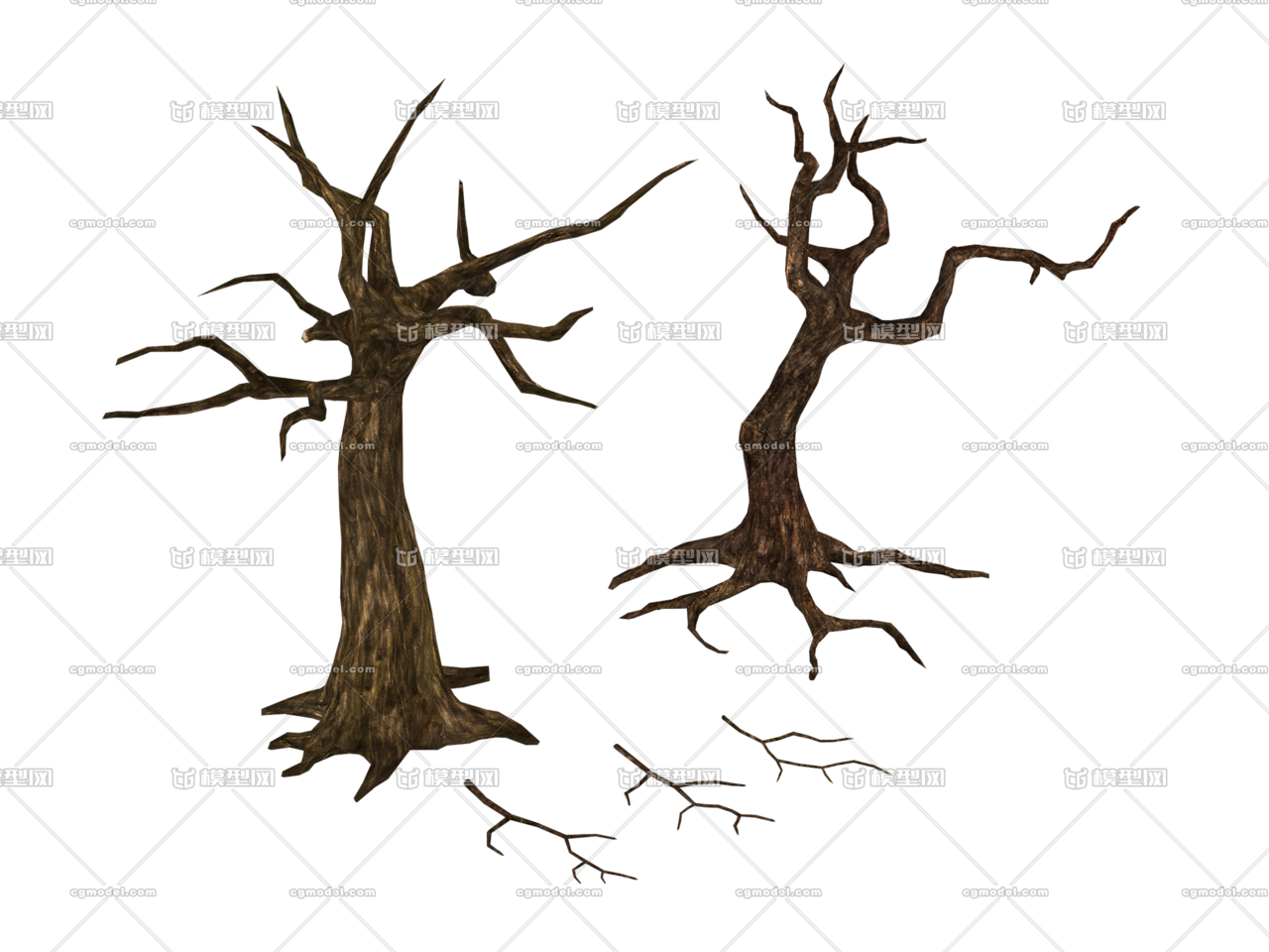 California Live Oak (1280x960) - Wood Clipart - Large Size Png Image ...