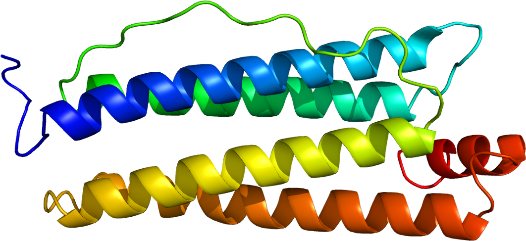 Human Heavy Chain Ferritin Clipart - Large Size Png Image - PikPng