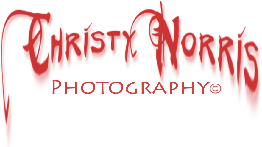 Christy Norris Photography Facebook - Calligraphy Clipart - Large Size ...