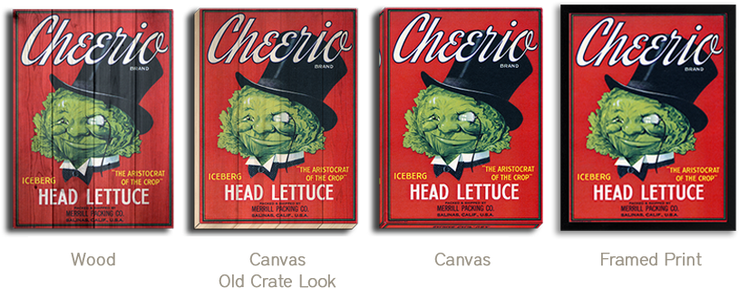 Cheerio Head Lettuce - Flyer Clipart - Large Size Png Image - PikPng