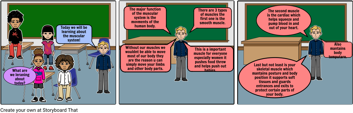 Muscular System - Cartoon Clipart - Large Size Png Image - PikPng