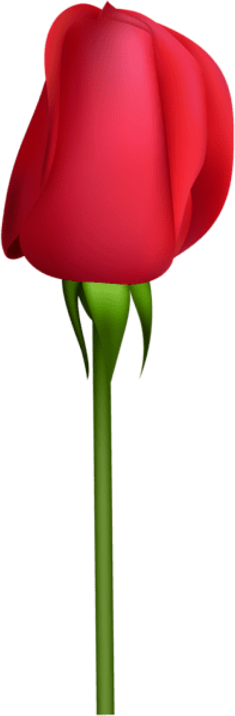 Free Png Download Rose Bud Transparent Png Images Background - Clipart ...