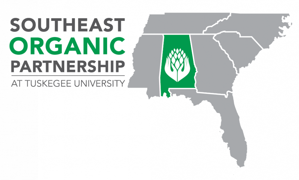 Welcome - Idea Killers Clipart - Large Size Png Image - PikPng