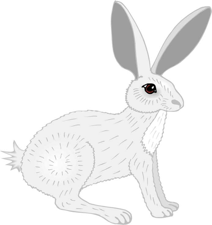 Jack Rabbit Clipart Arnab - Domestic Rabbit - Png Download - Large Size ...