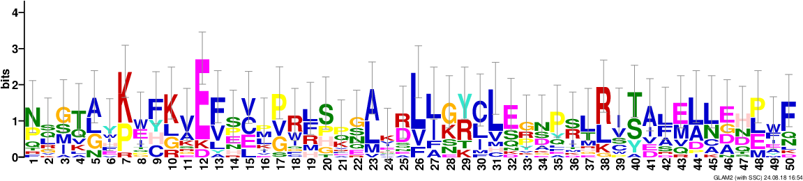 Logo With Ssc Clipart - Large Size Png Image - PikPng