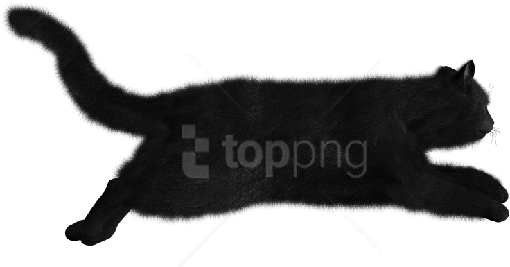 Free Png Download Cat Png Images Background Png Images - Cat Running ...