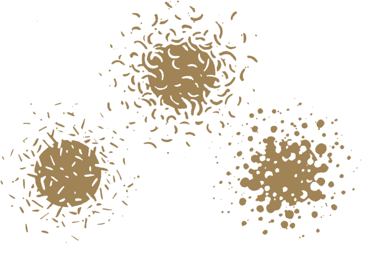 Trans Sandblobs - Circle Clipart - Large Size Png Image - PikPng