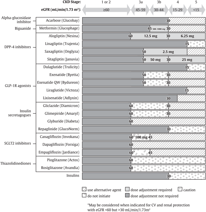 May 13, 2019 Antihyperglycemic Medications And Renal - Diabetes ...