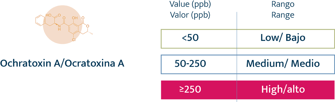 Derio Derio Derio - Electric Blue Clipart - Large Size Png Image - PikPng