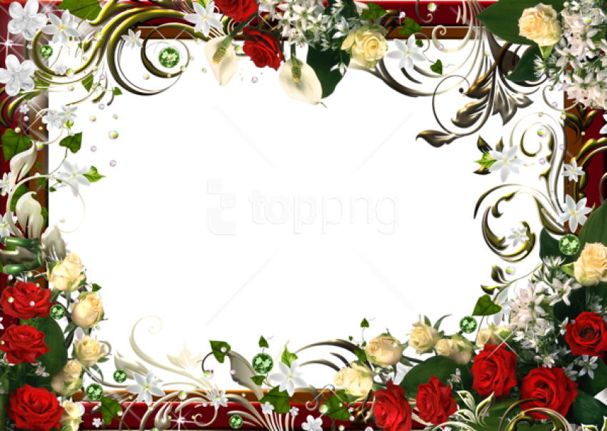 Download Free Png Transparent Flowers Png Frame Background Best ...