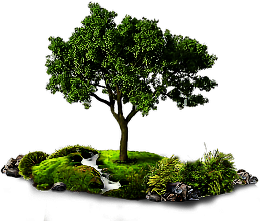 Download Arbre Sticker - Growing Tree Gif Animation Clipart Png ...