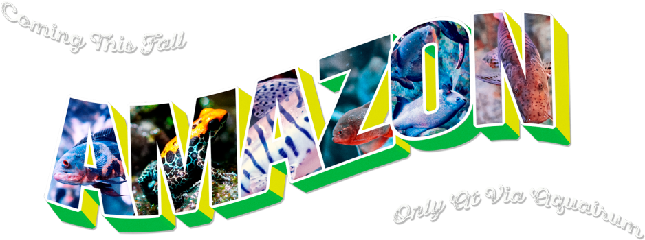 Amazon Banner Clock-1024x536 - Graphic Design Clipart - Large Size Png ...