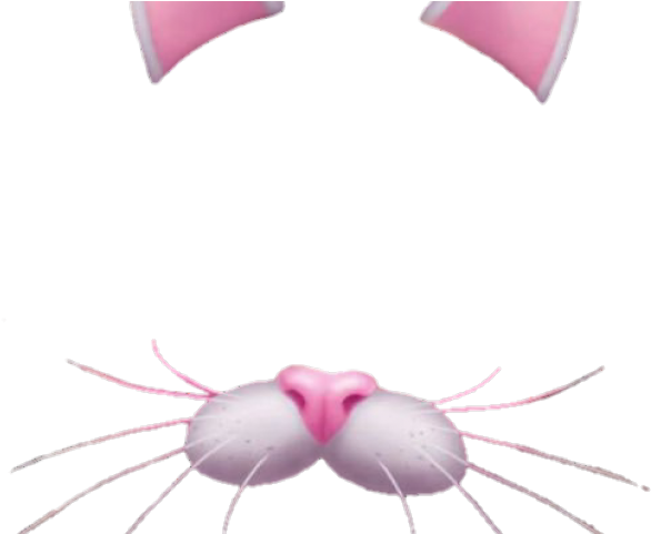 Snapchat Filters Clipart Snap Chat - Snapchat Cat Filter Png ...