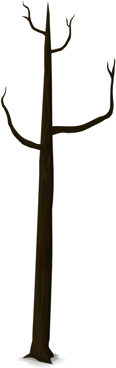 Batang Pohon Png Clipart - Large Size Png Image - PikPng