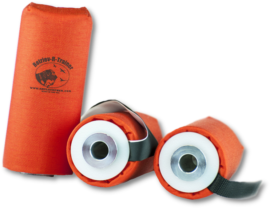 Download Image Of Rrt Orange Canvas Dummy - Label Clipart Png Download ...