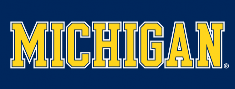 Michigan Wolverines Iron On Stickers And Peel-off Decals - Goodyear ...