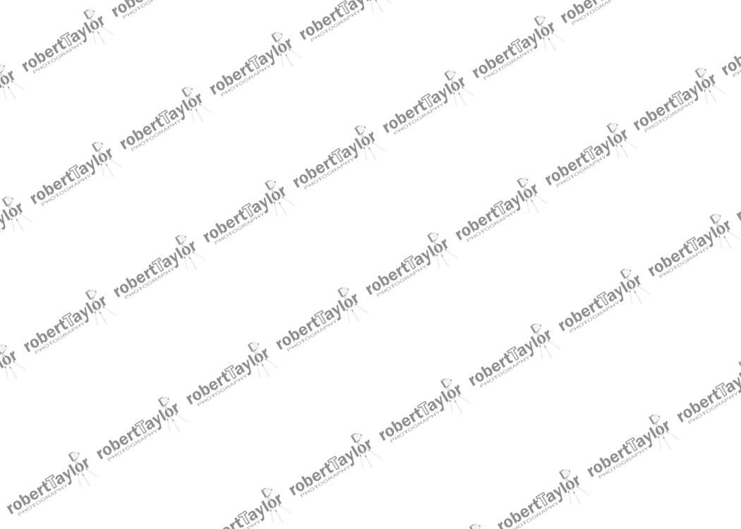 Gallery Watermark Clipart - Large Size Png Image - PikPng