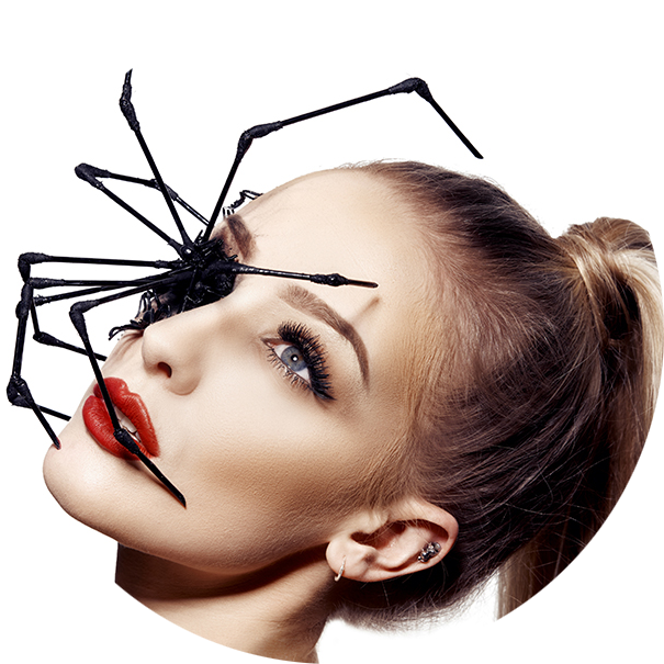 Ellimacs - Photo Shoot Clipart - Large Size Png Image - PikPng