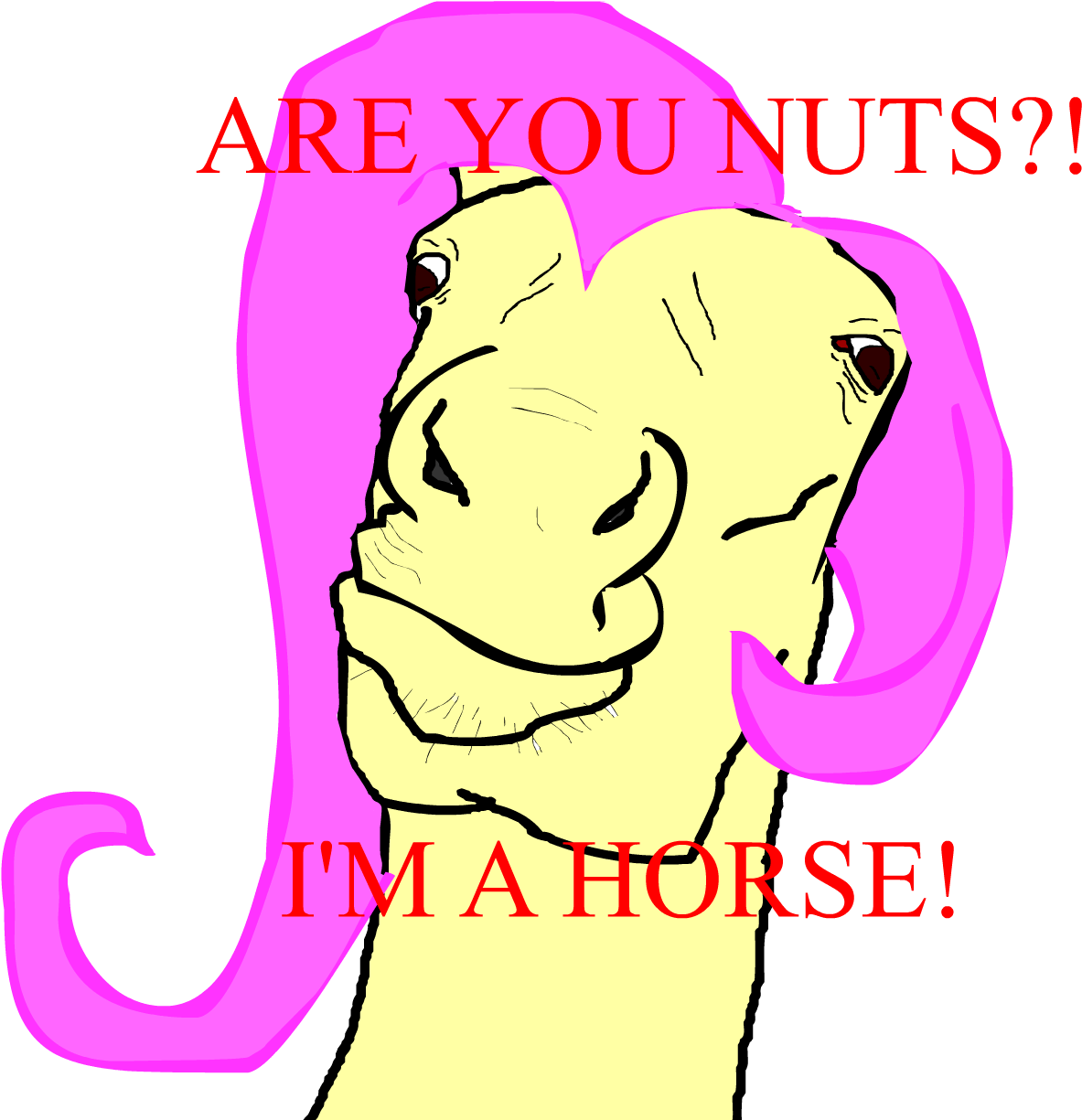 My Little Pony - My Little Pony Nut Clipart - Large Size Png Image - PikPng