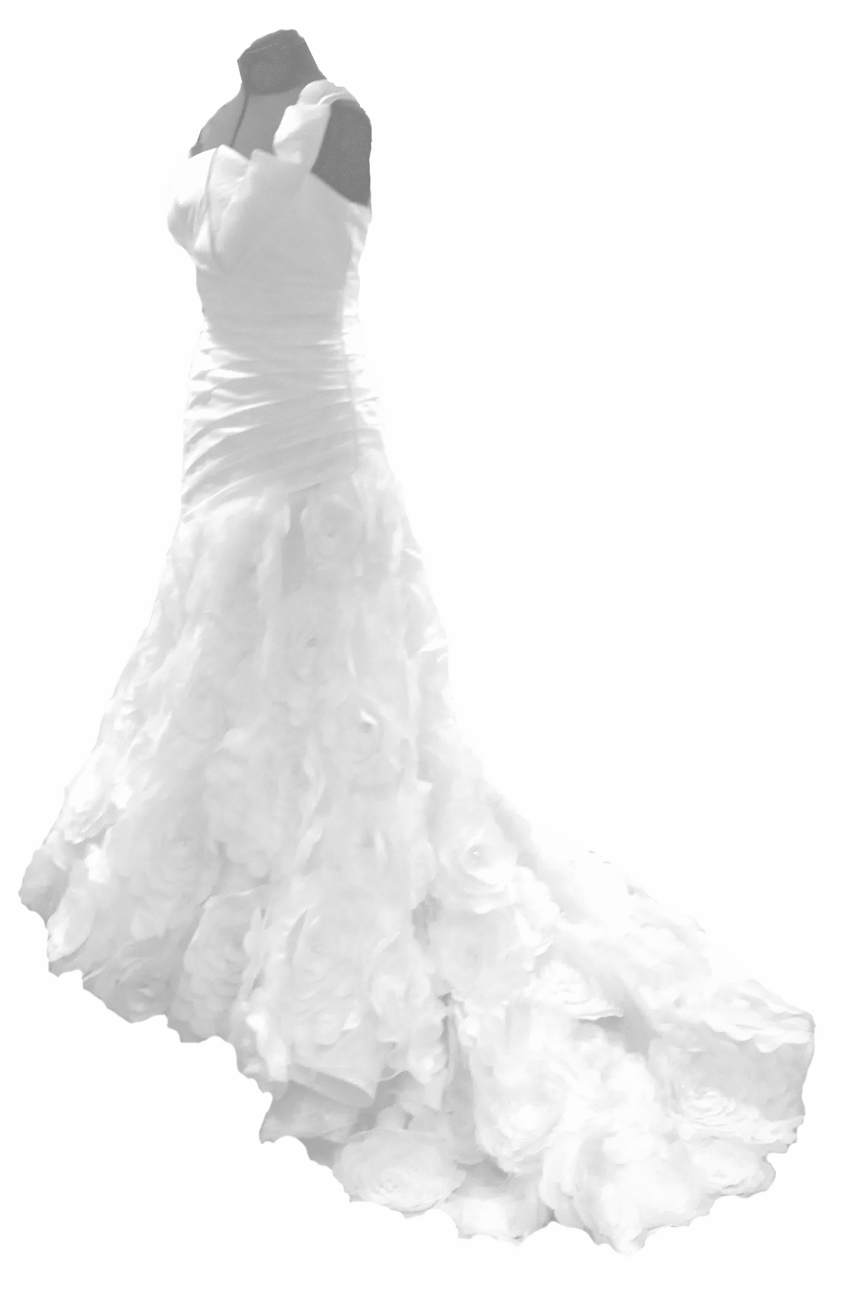 Wedding Dress Alteration - Transparent Wedding Dress Png Clipart ...