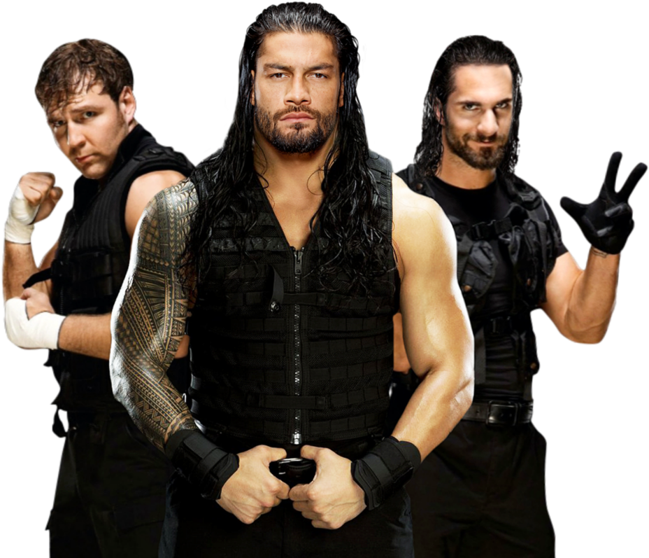 The Shield 2017 By Lunaticdesigner Clipart - Large Size Png Image - PikPng