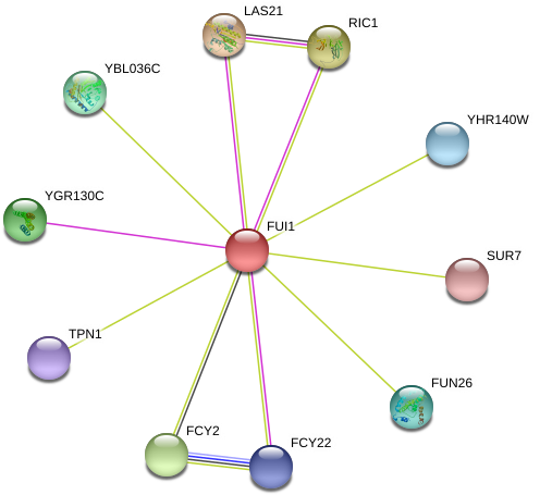 Network - Circle Clipart - Large Size Png Image - PikPng