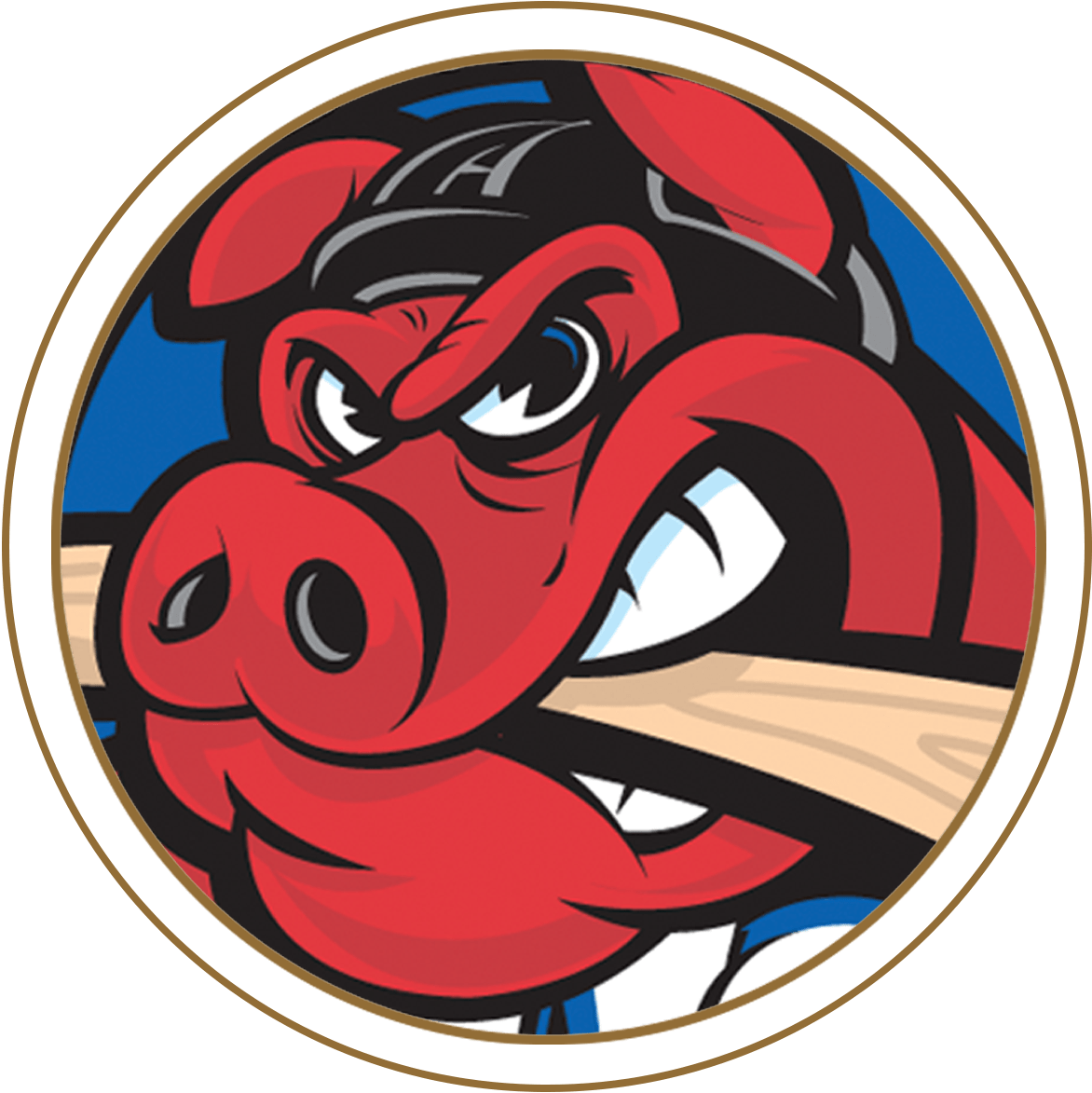 Download - Rockford Icehogs Logo Clipart - Large Size Png Image - PikPng