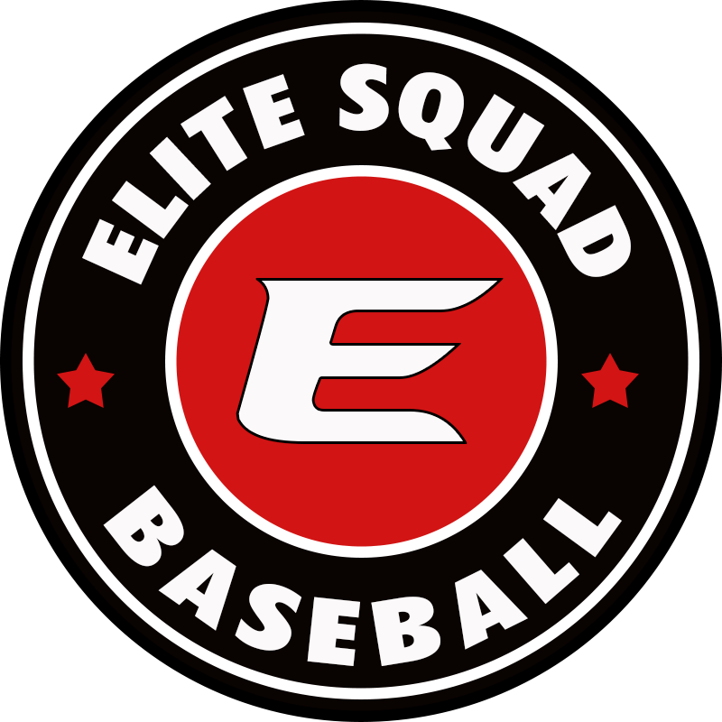 Round-logo - Elite Baseball Logo Clipart - Large Size Png Image - PikPng