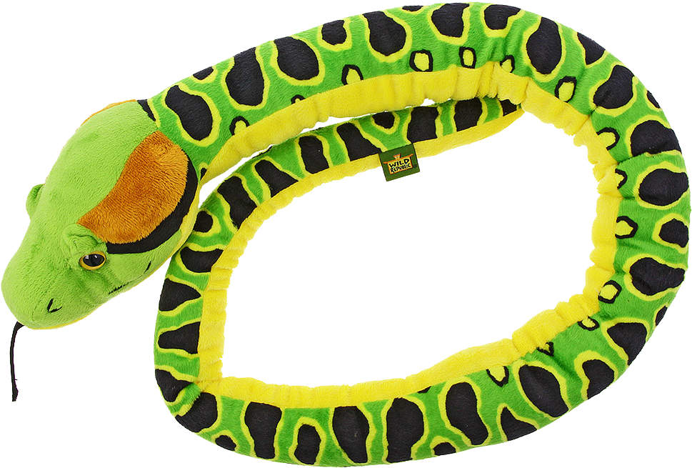 Snake , Png Download - Boa Clipart - Large Size Png Image - PikPng