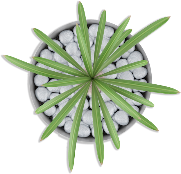 Tall Potted Plants Png